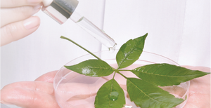 Eco-Friendly Hygiene Products | Initial Hygiene Singapore